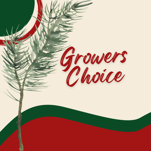 Greene Acres Christmas Tree Farm